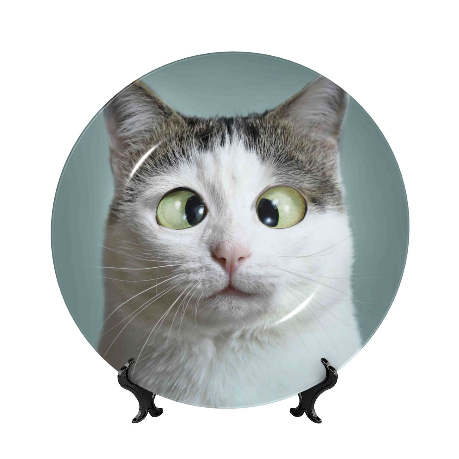 Balery Funny Cat Print Bone China Decorative Plate Ceramic Dinner ...