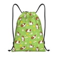 Balery Guinea Pigs Pattern Drawstring Backpack Bag Sport Gym Sackpack ...
