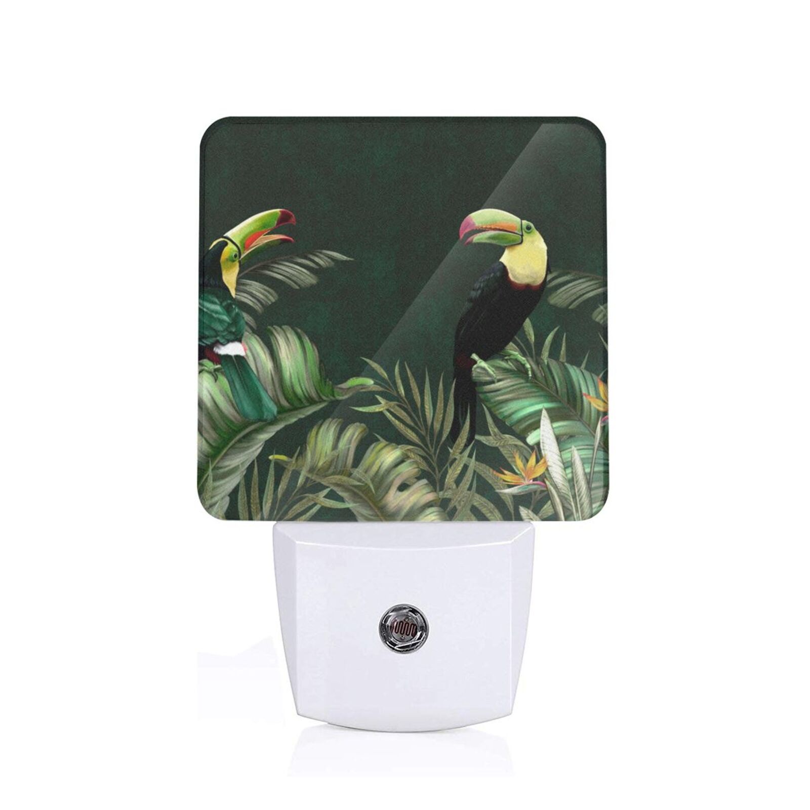 Balery Palm Leaves And Exotic Birds Pattern LED Night Light with ...