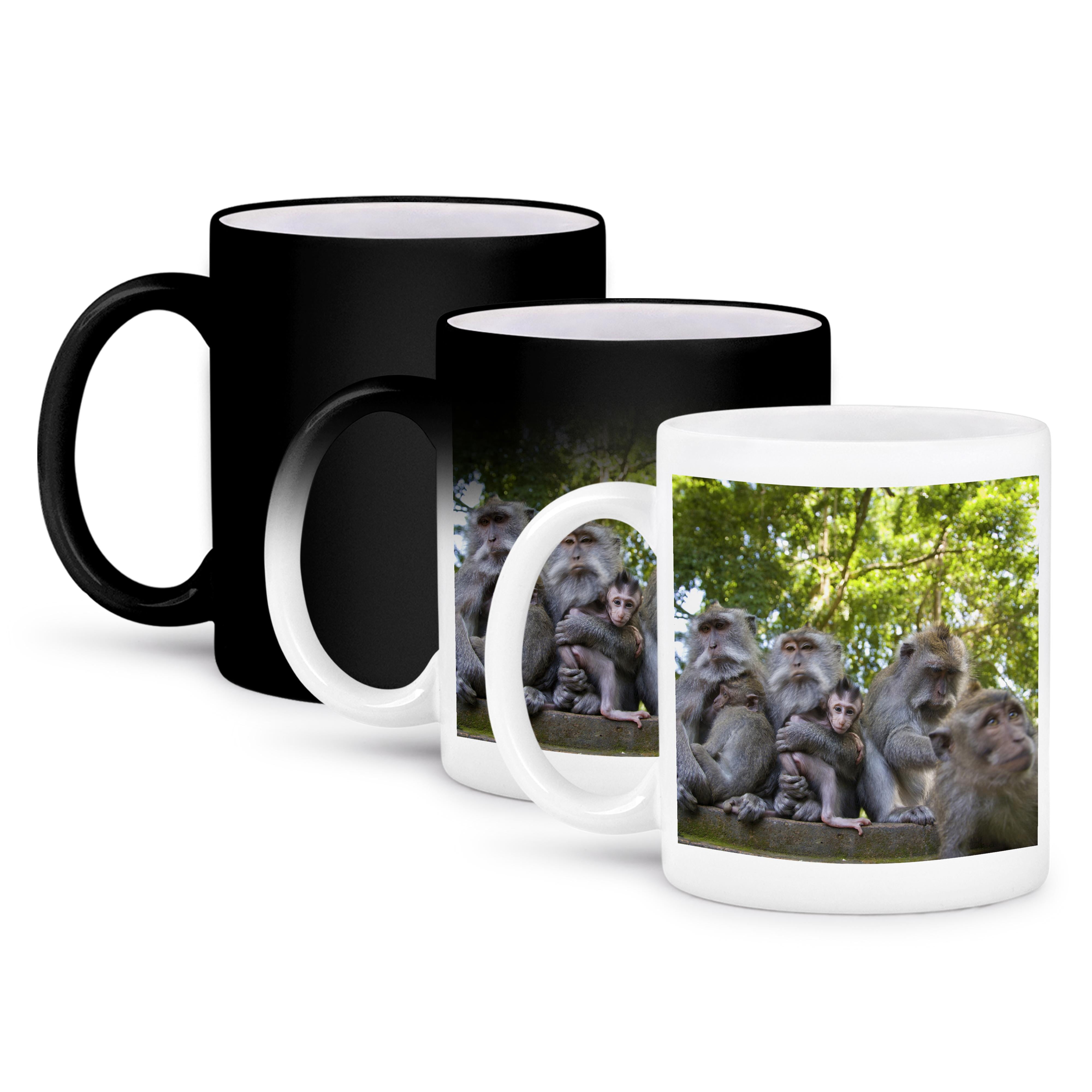 Bali, Sacred Ubud Monkey Forest, Longtail Macaque-As11 Sws0131 - Stuart ...