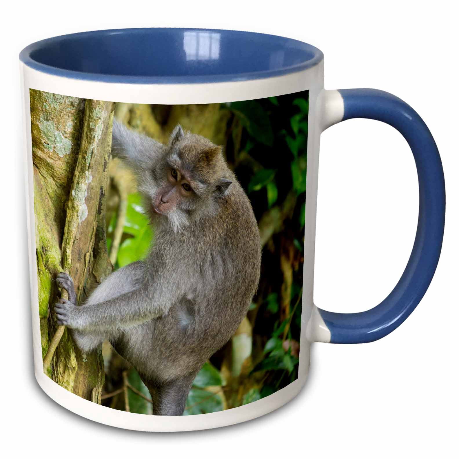 Bali. The Monkey Forest of Padangtegal, Balinese Hindu site 11oz Two ...