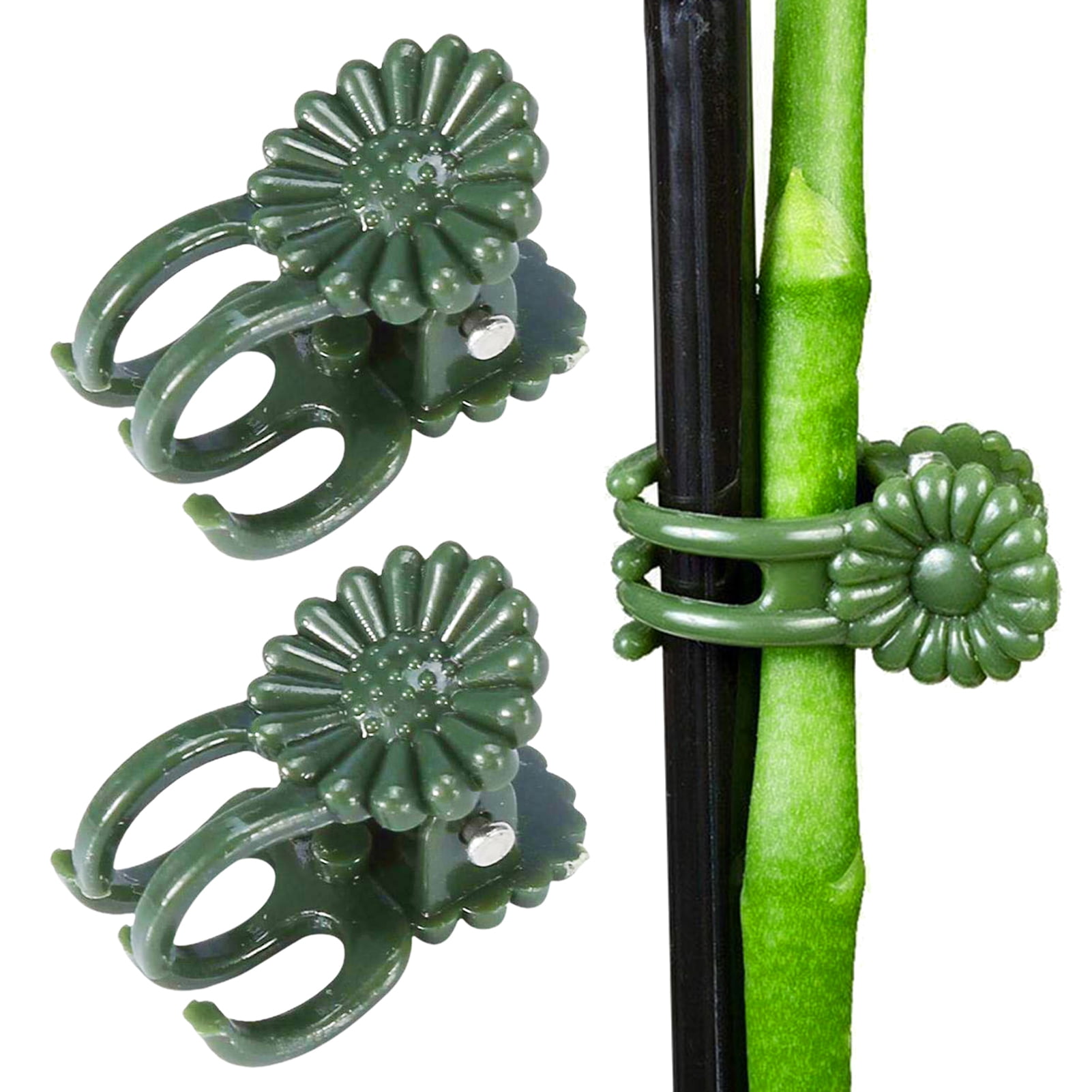 Balieda 100Pcs Orchid Stem Clips Plant Support Clips Flower and Vine ...