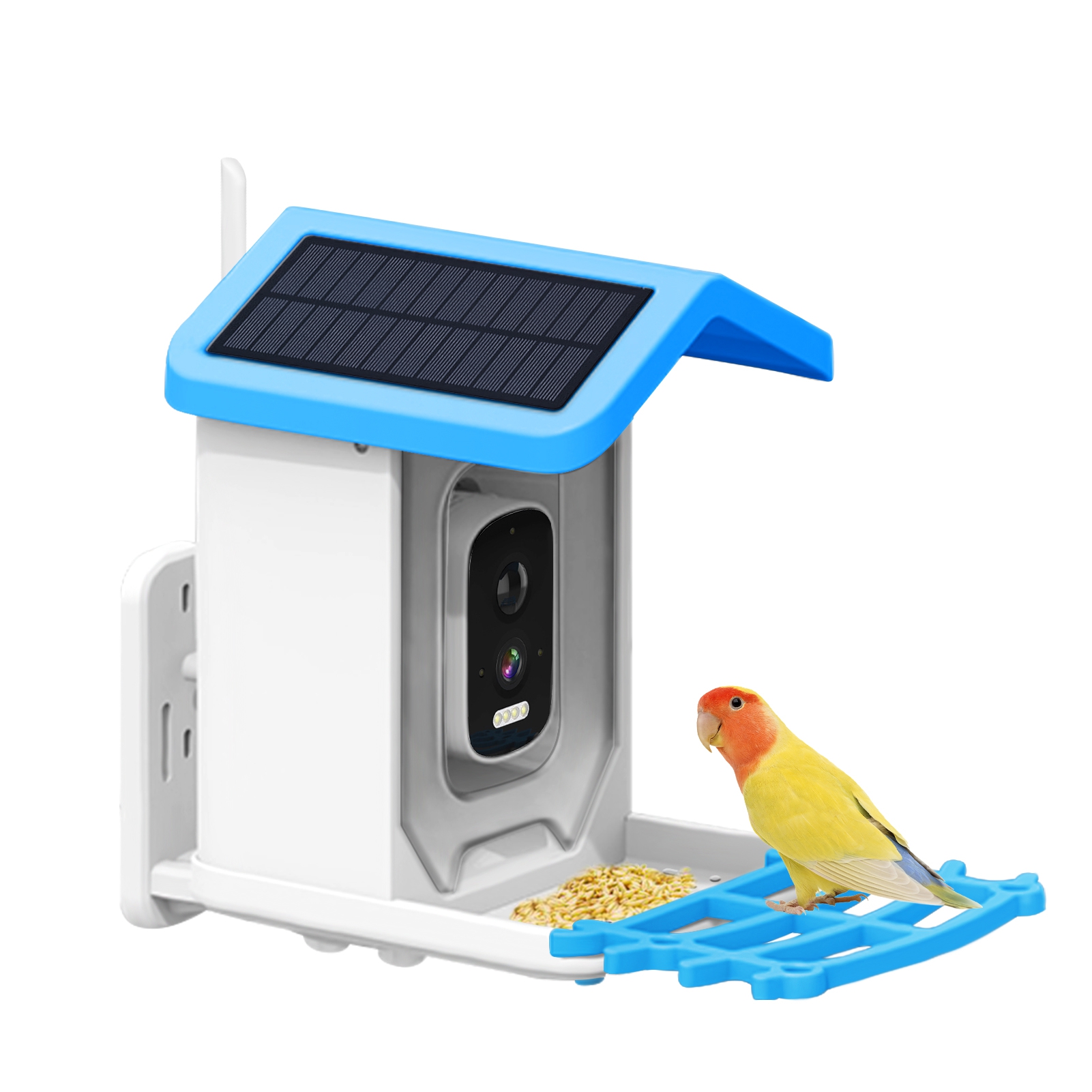 Balieda Bird Feeder with Camera, 84.55OZ Smart Bird Feeder with AI ...