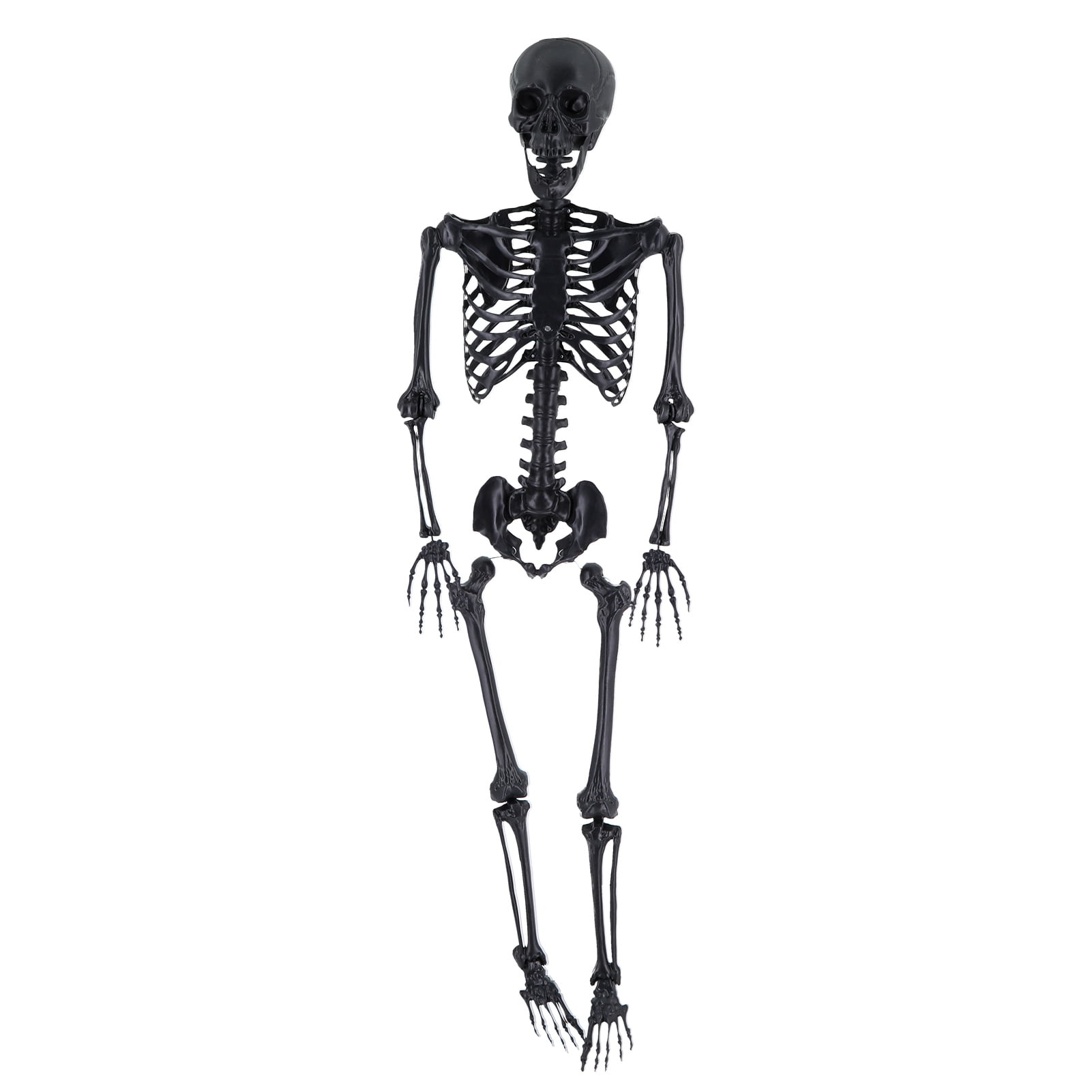 Balieda Skeleton Life Size Halloween Decor, Realistic Full Body with ...