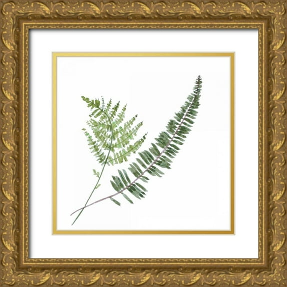 Baliko, Linda 12x12 Gold Ornate Wood Framed with Double Matting Museum ...