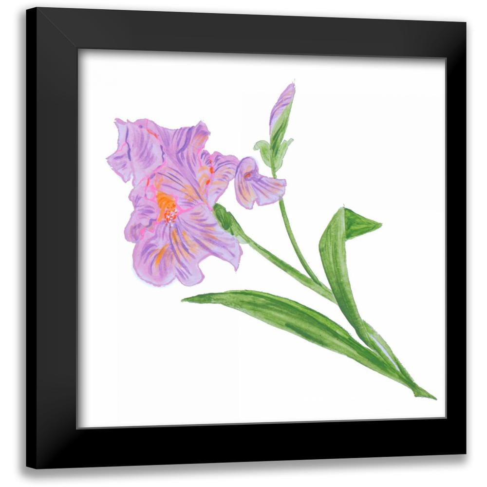 Baliko, Linda 20x20 Black Modern Framed Museum Art Print Titled ...