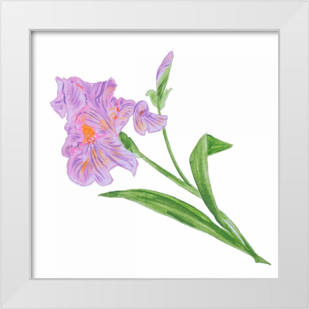 Baliko, Linda 20x20 White Modern Wood Framed Museum Art Print Titled ...