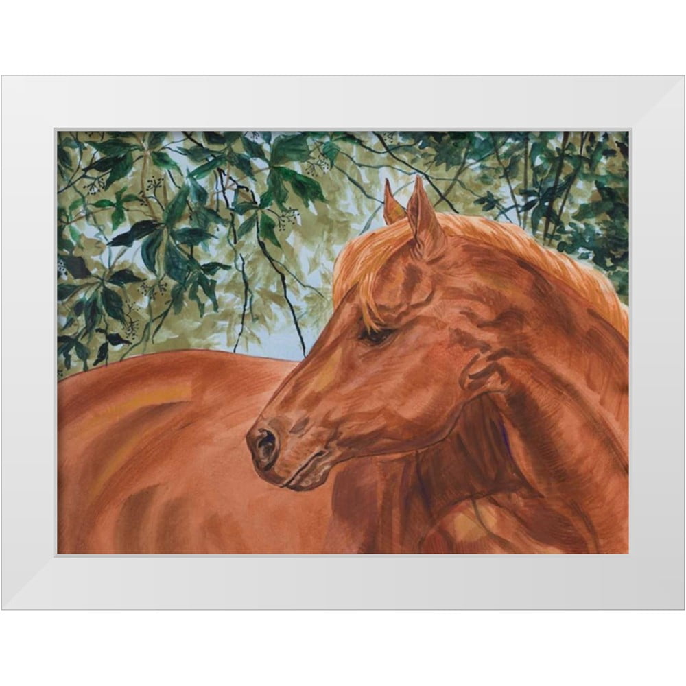 Baliko, Linda 24x19 White Modern Wood Framed Museum Art Print Titled ...