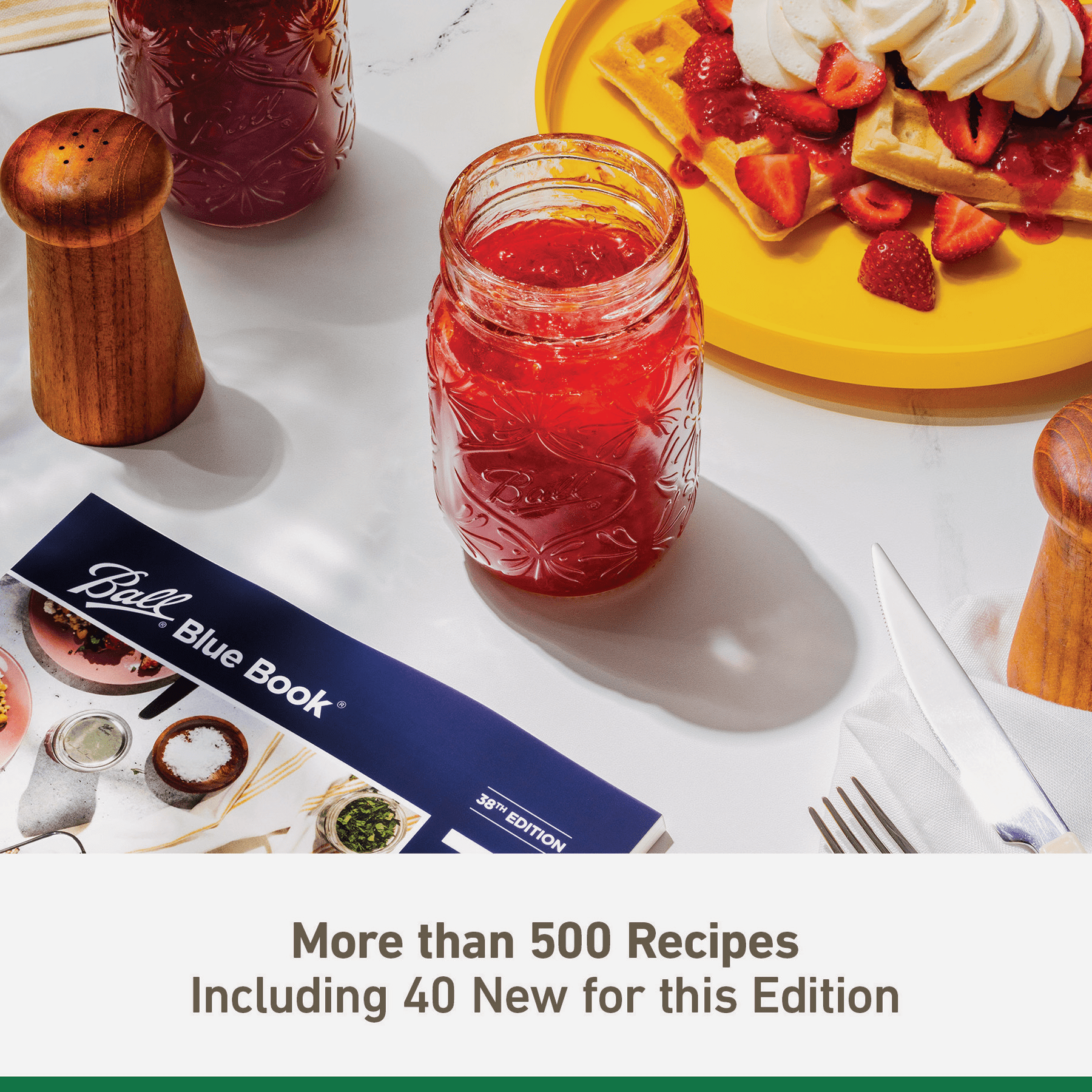 Ball 38th Edition Blue Preserving Book - Pack of 18 — Residential Use ...