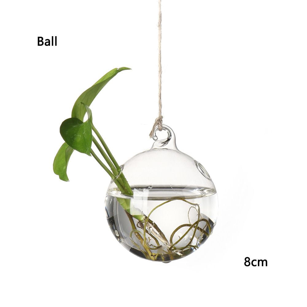 Ball Hydroponics Garden Supplies Creative Glass Vase Plant Pot Hanging ...