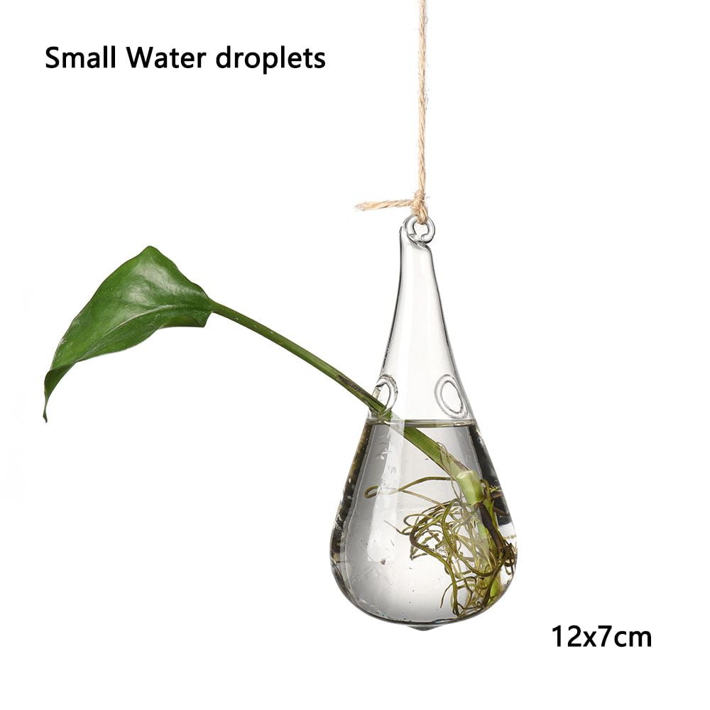 Ball Hydroponics Garden Supplies Creative Glass Vase Plant Pot Hanging ...