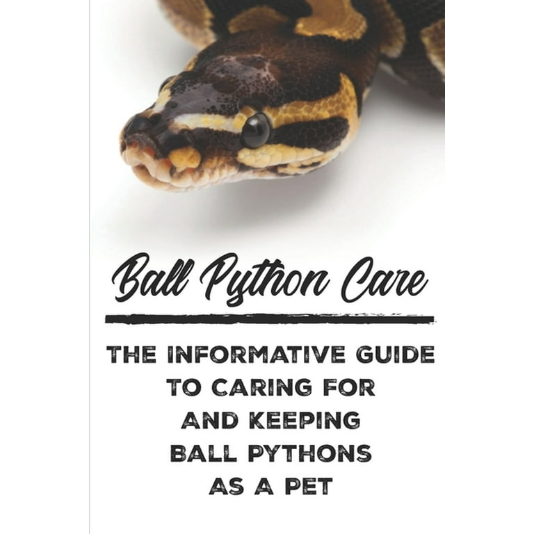 Ball Python Morphs Guide