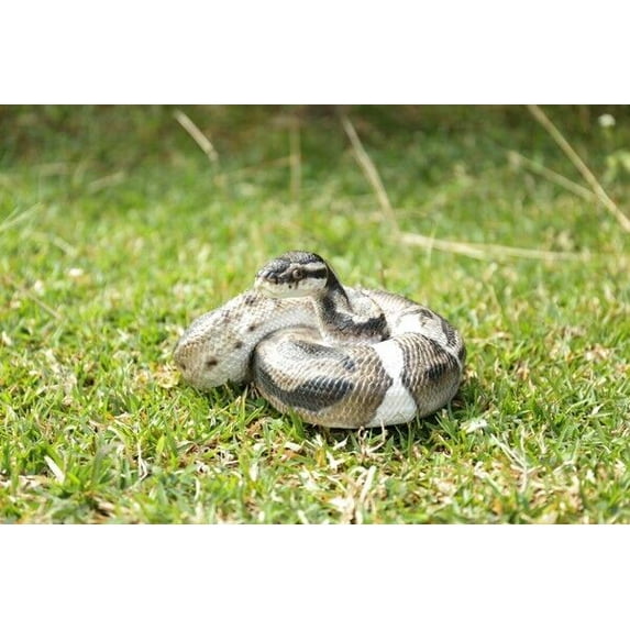 Ball Python Garden Statue Snake Yard Flowerbed Decor - Walmart.com