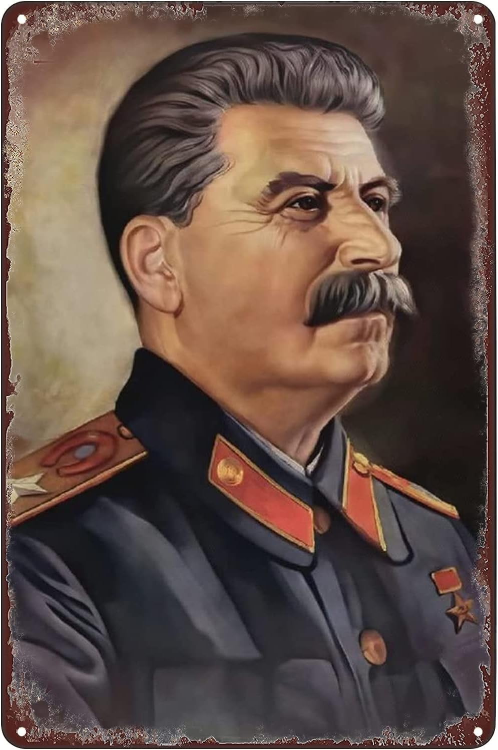 Ball Python Knowledge Metal Tin Sign Information Color Anatomy Chart ...