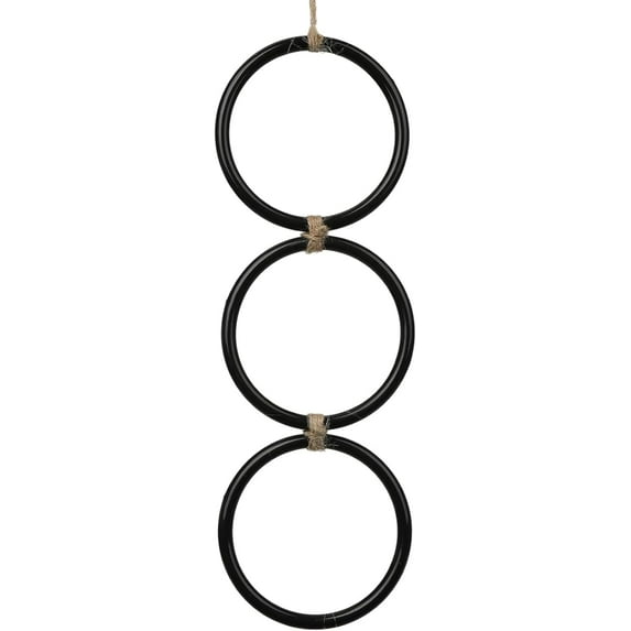 Ball Python Snake Climbing Rings - Enrichment Toys for Corn Snakes ...