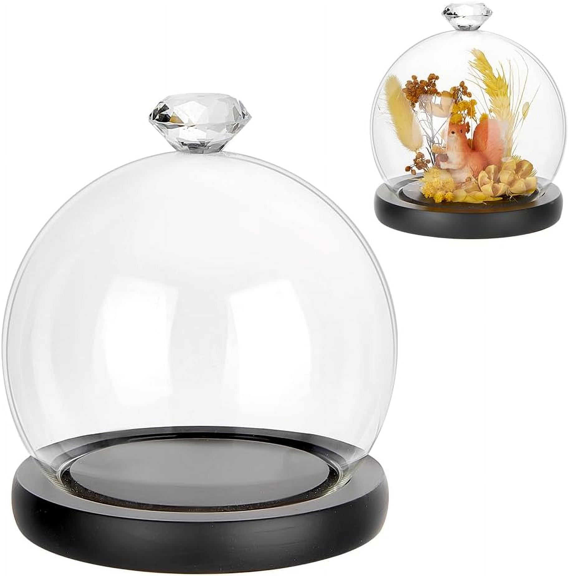 Ball-Shaped Glass Dome Cloche 4.6x4.8inch Round Clear Glass Display ...