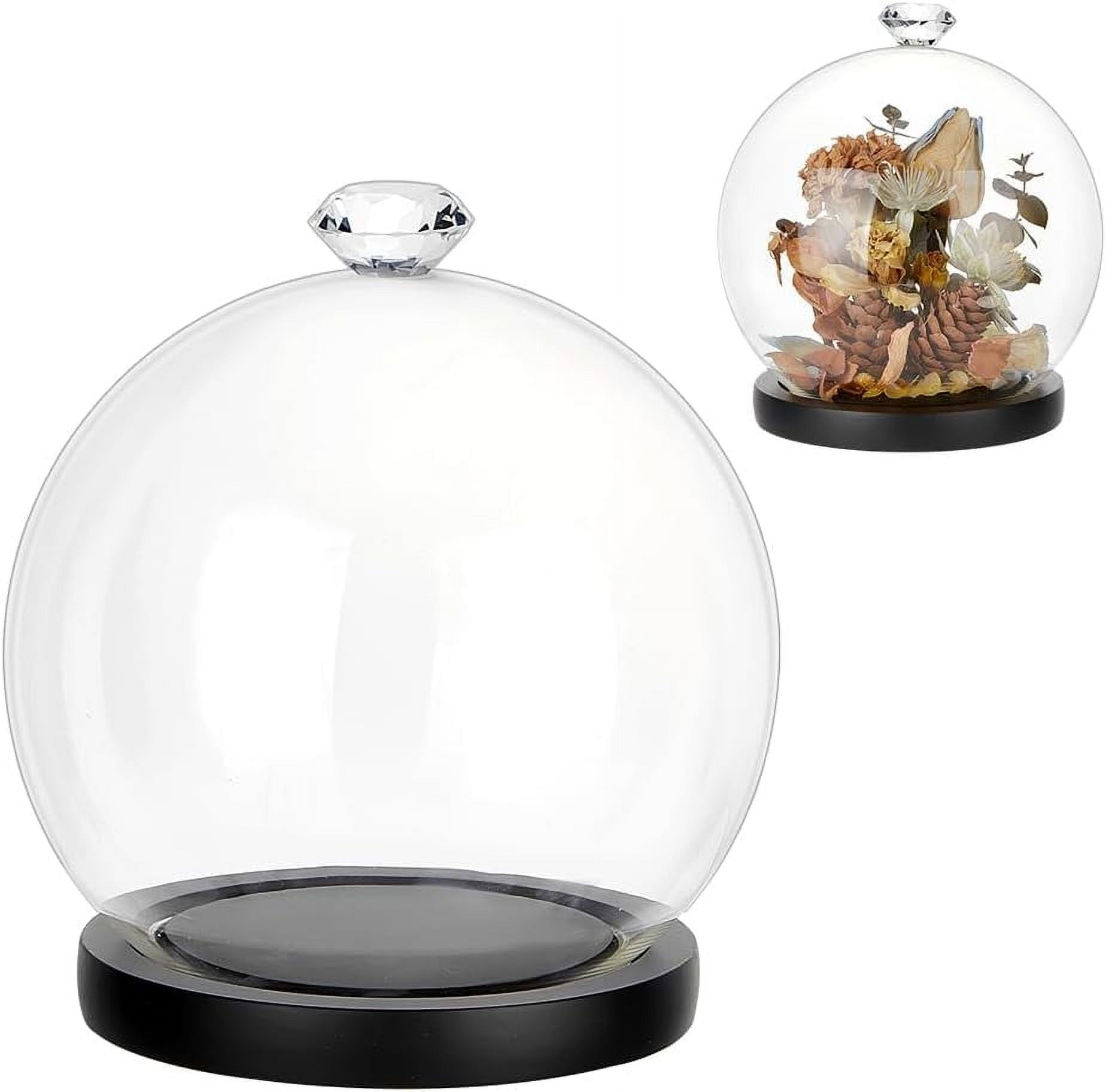 Ball-Shaped Glass Dome Cloche 6x6inch Round Clear Glass Display Diamond ...
