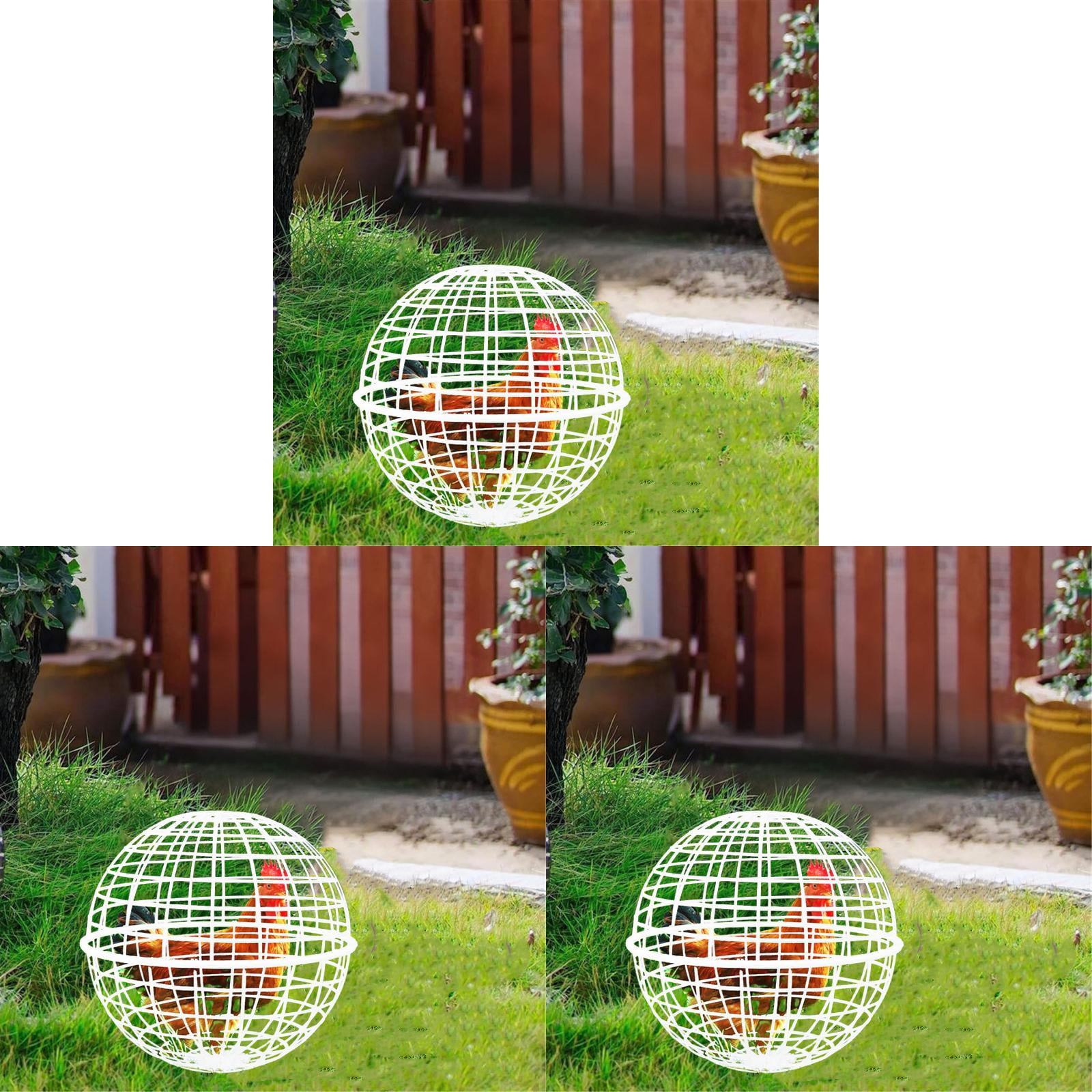 Ball-Shaped Mobile Chicken Coop - Rollable Outdoor Poultry Cage for ...