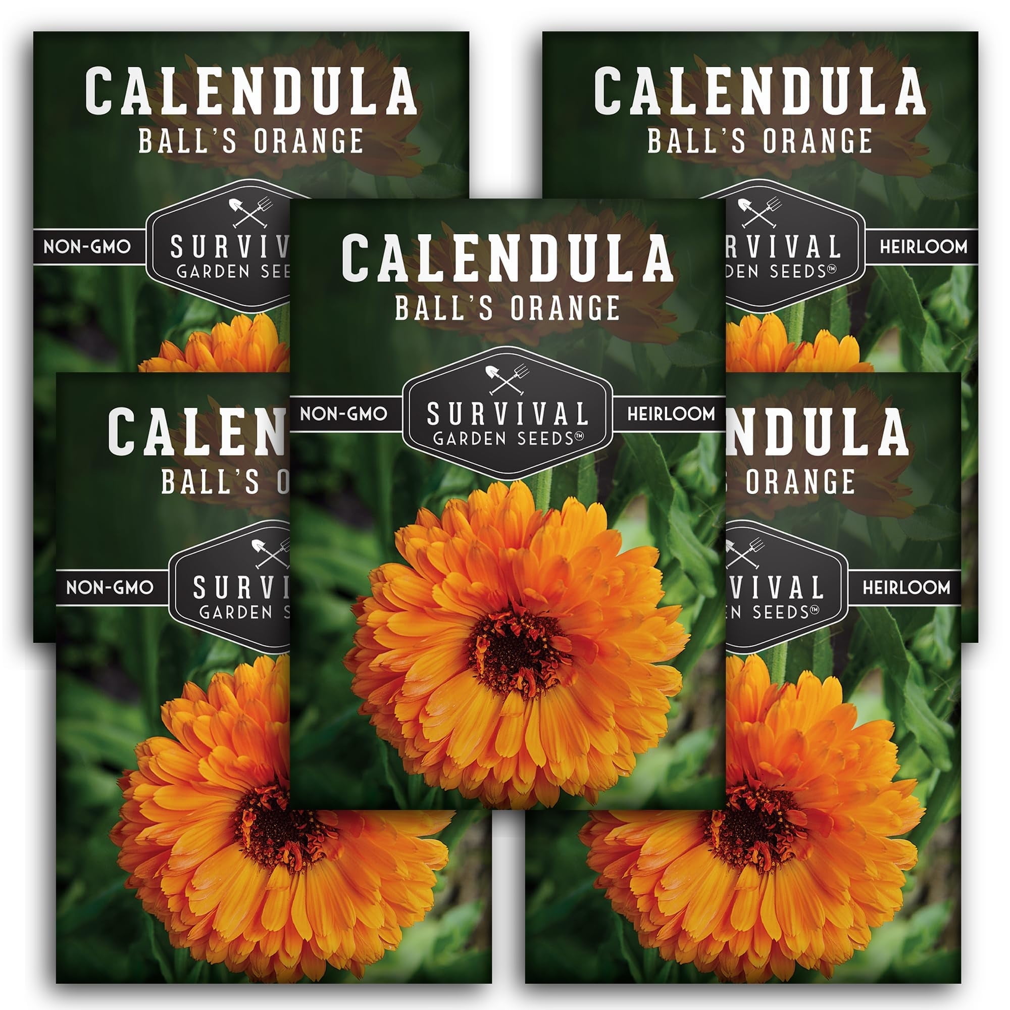 Ball's Orange Calendula Seeds - 5 Pack - Non-GMO Heirloom Full Sun ...