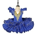 Ballerina Costume Dance Pancake Platter Ruffle Sleeve Floral Print ...