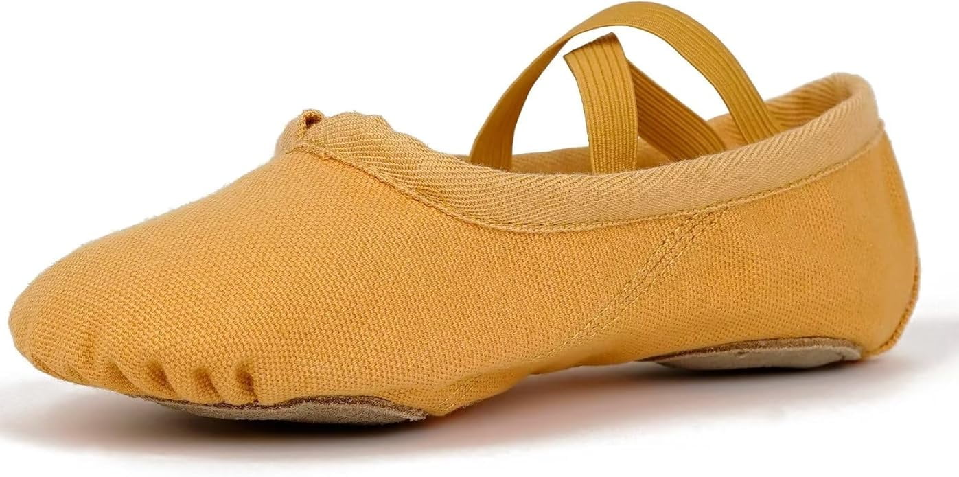 Ballet Shoes for Girls,Canvas Ballet Slipper Ballerina Dance Flats ...