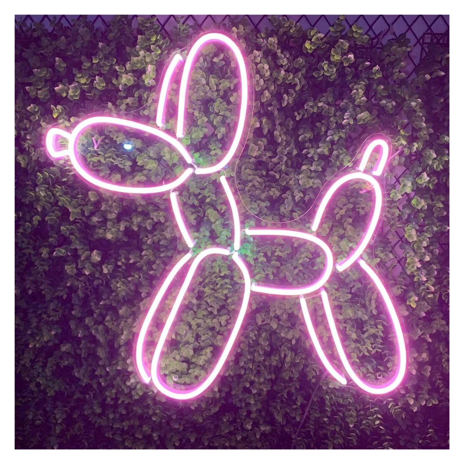 Balloon Dog Neon Sign USB Powered Adjustable Brightness Dog Neon Lights ...