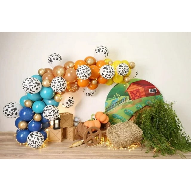 Balloon Dreamy Birthday Scene Photography Backdrop Baby Shower Girl ...