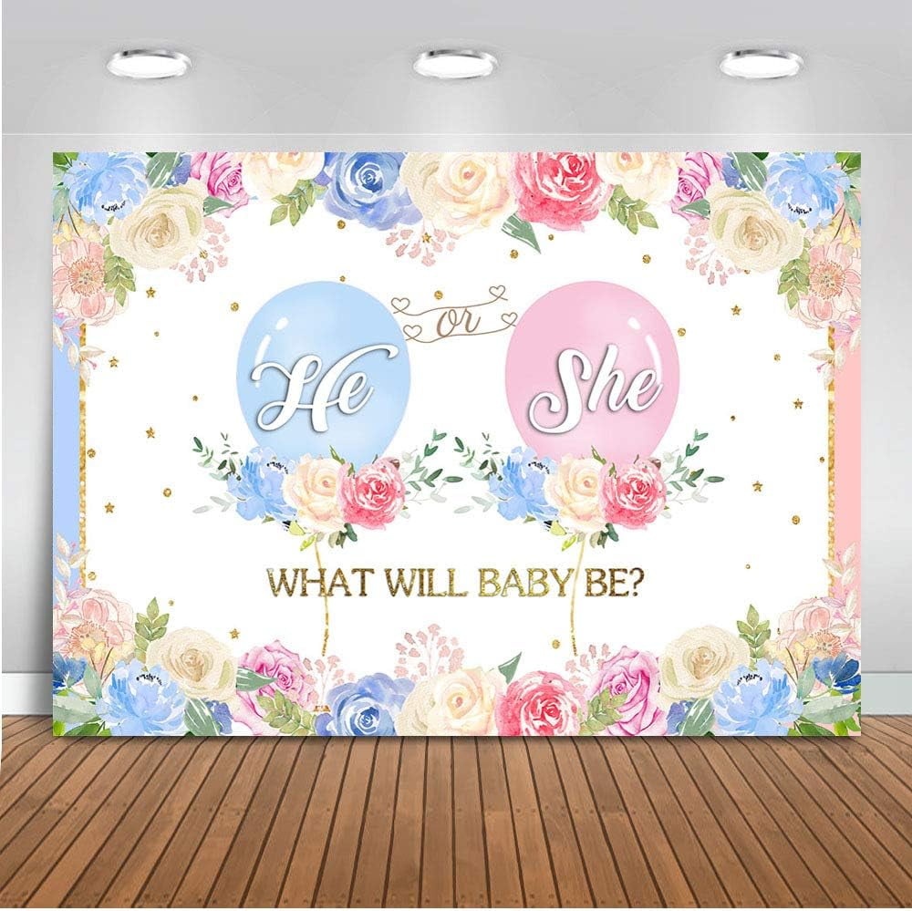 Balloon Gender Reveal Backdrop He or She Blue or Pink Boy or Girl ...