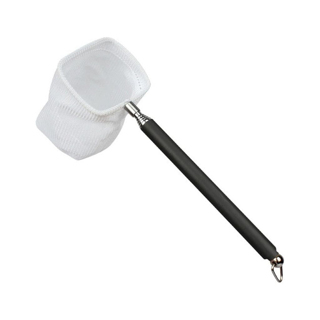 BallsFHK Fish Shrimp Skimming Net Fine Mesh Extendable Stainless Steel ...