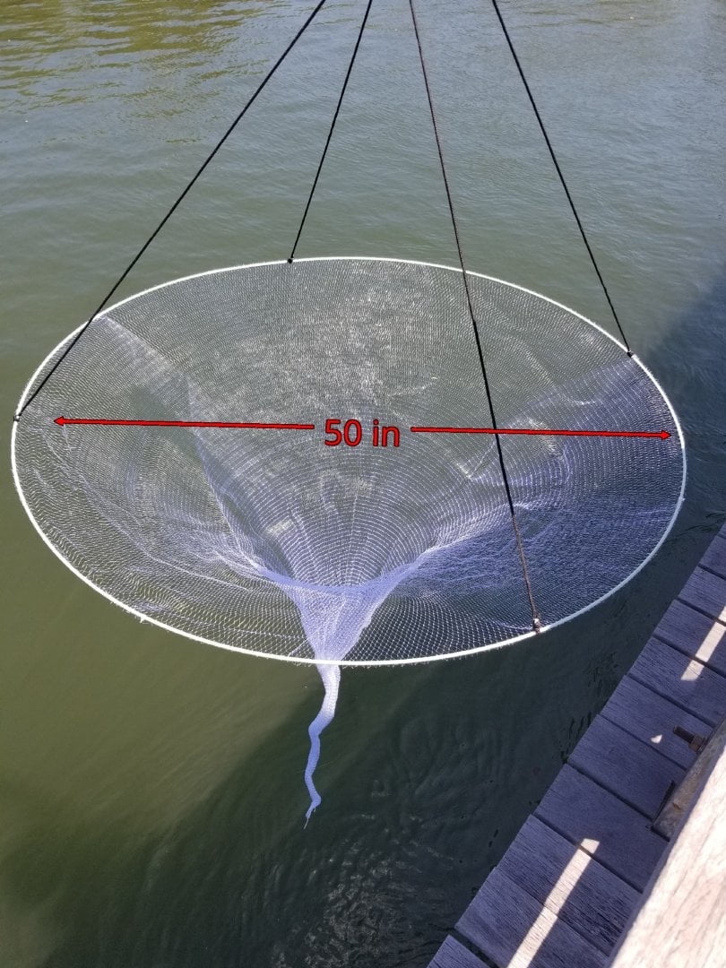 Ballyhoo Collapsible Hoop Net with 20 ft Telescoping Pole, 50 inch ...
