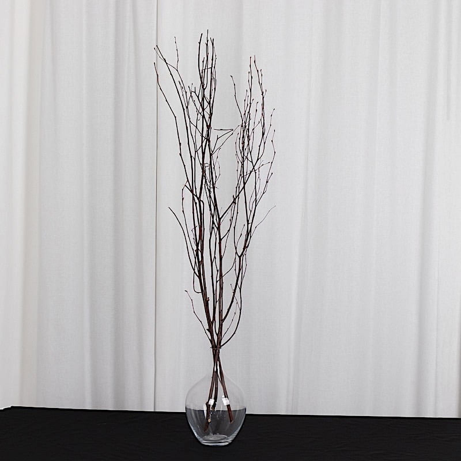 BalsaCircle 6 Natural Extra Long 46" Decorative Birch Tree Branches ...