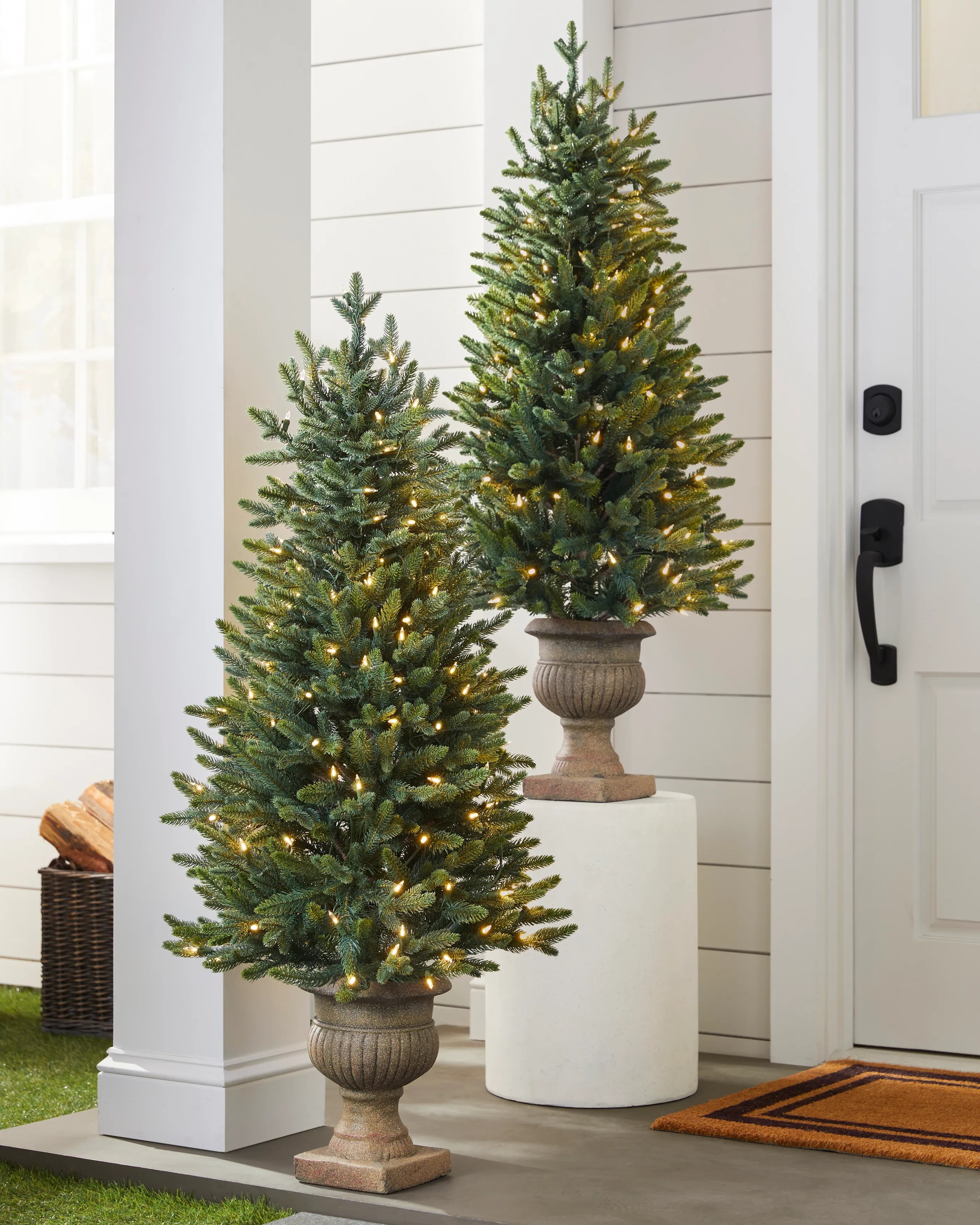 Balsam Hill Colorado Mountain Spruce 2-Pack 4' Potted Pre Lit Trees ...