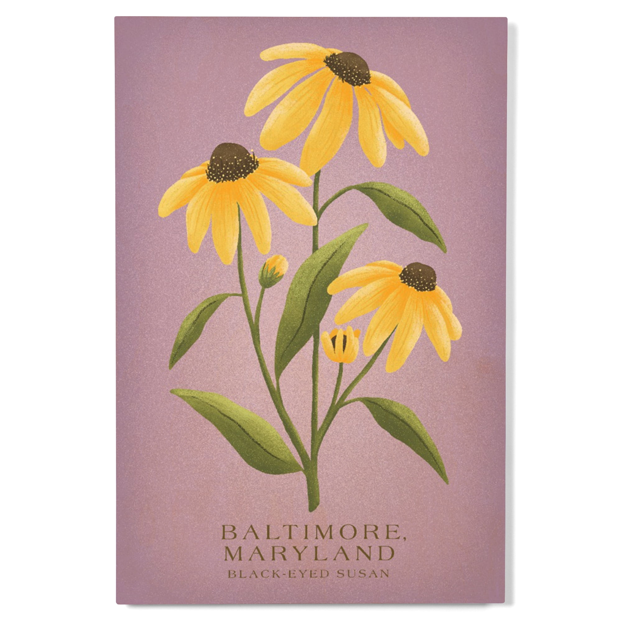 Baltimore, Maryland, Black Eyed Susan, Vintage Flora, State Series ...