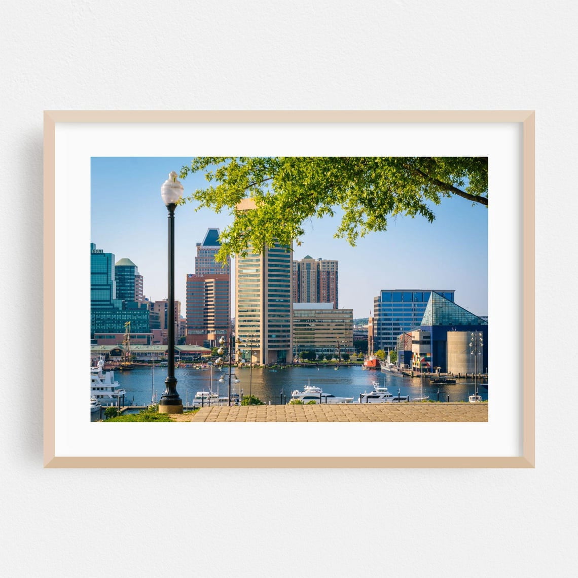 Baltimore Maryland Cityscape Harbor Skyline Architecture Boat Travel ...