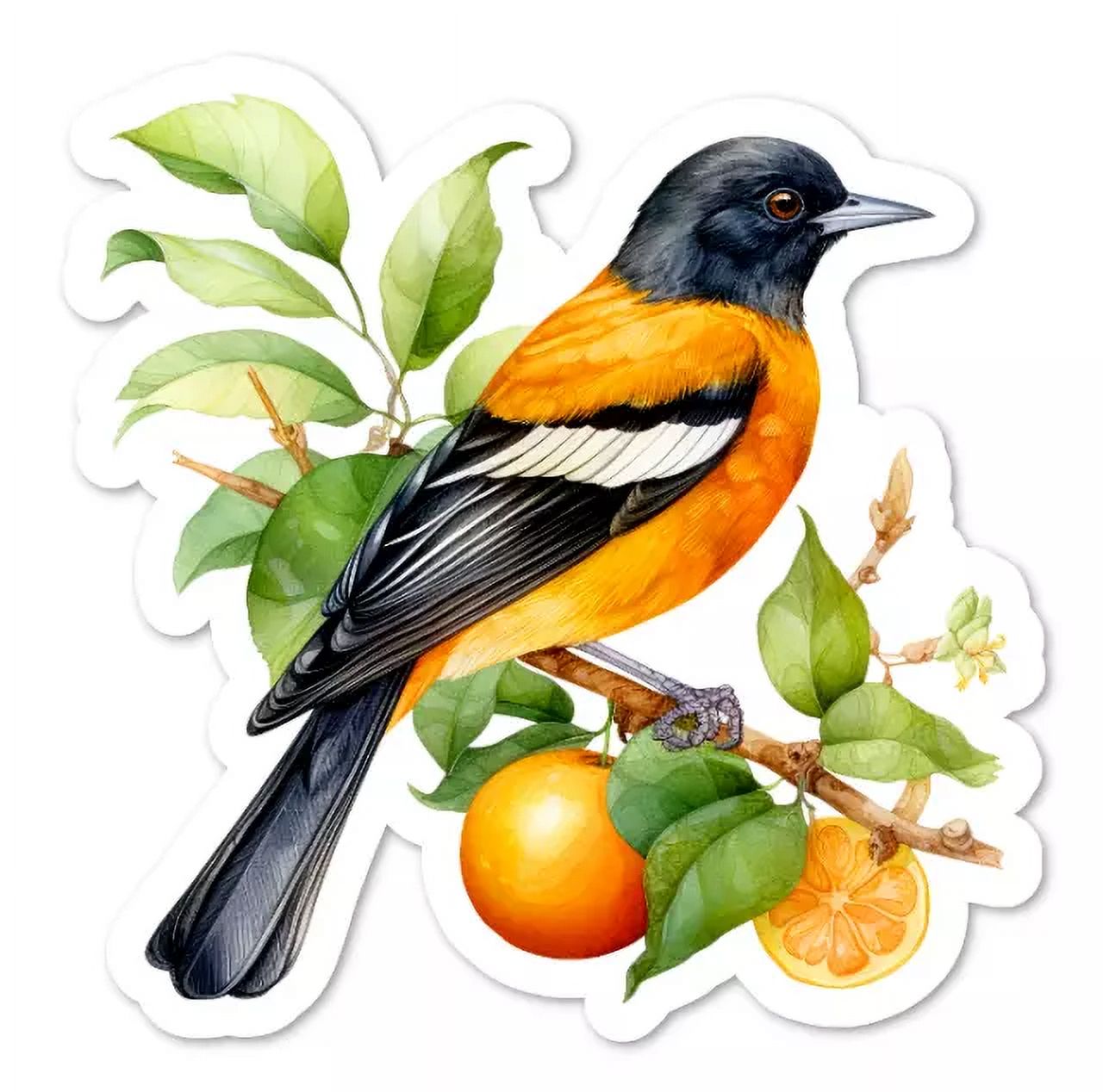 Baltimore Oriole Sticker, Scrapbooking Laptop Water Bottlephone Decal ...