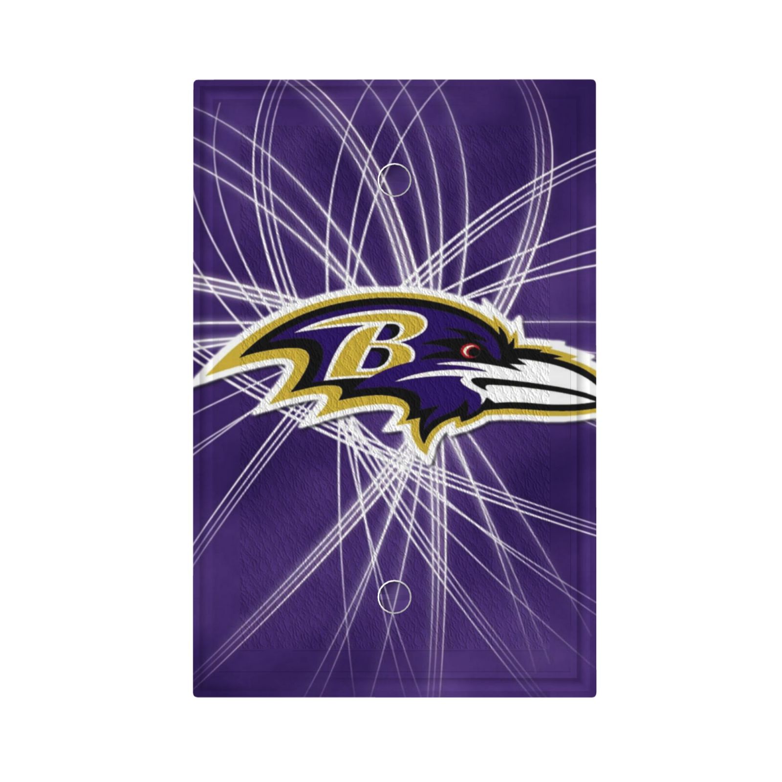 Ravens Switching Lights Single Leather Roman Frame Switch Panel Wall ...
