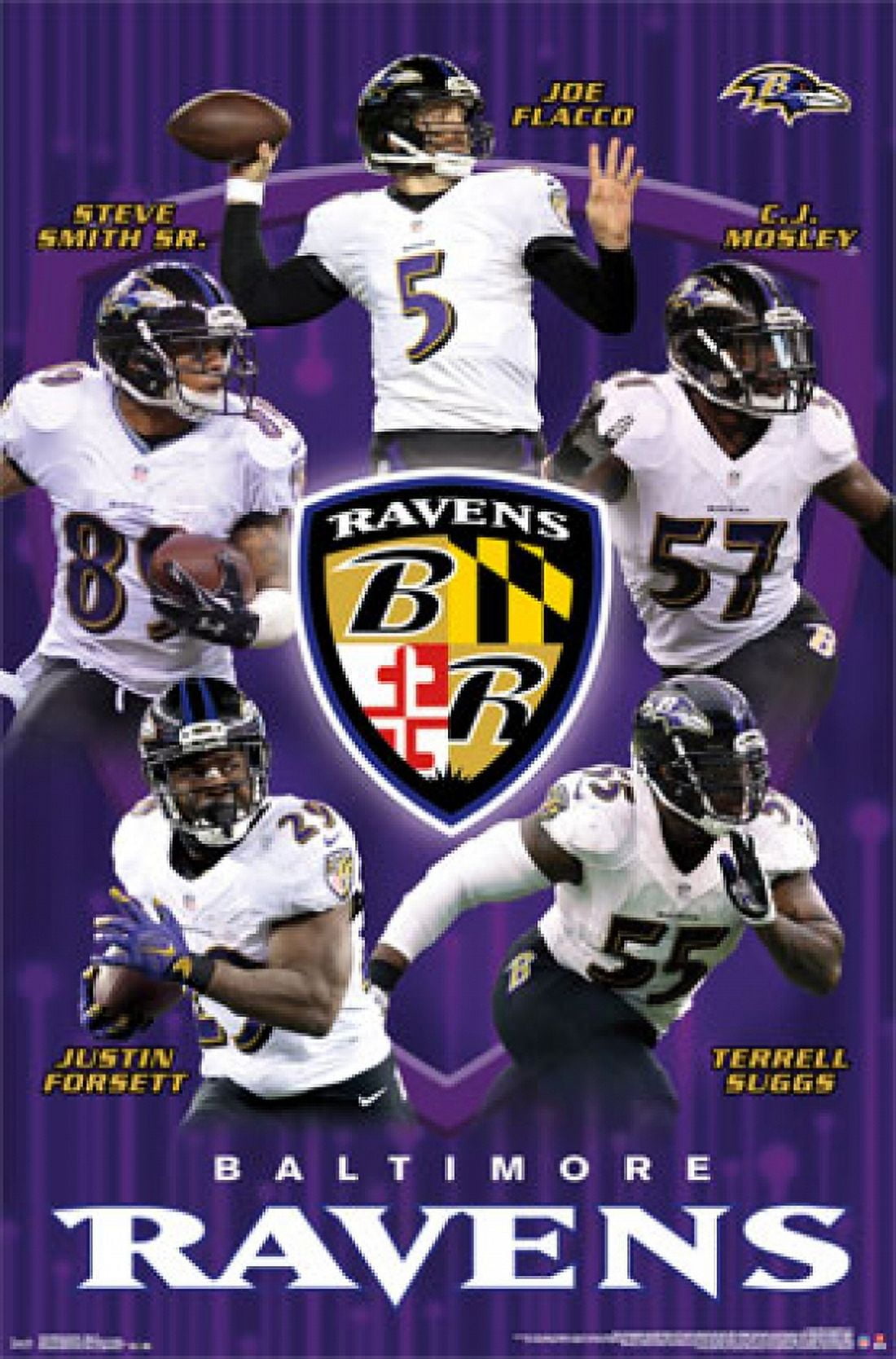Baltimore Ravens - Team 2015 Poster Print (22 x 34) - Walmart.com