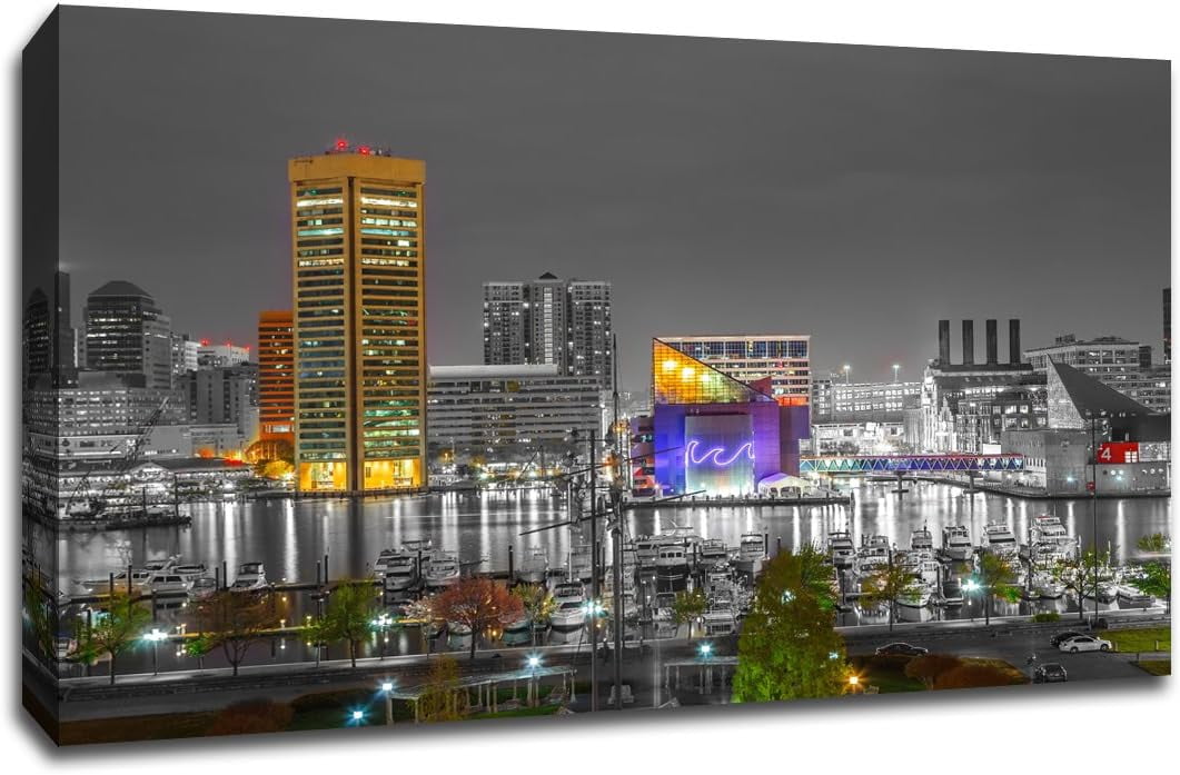 Baltimore Touch of Color Skyline 30x20 Gallery Wrapped Canvas Wall Art ...