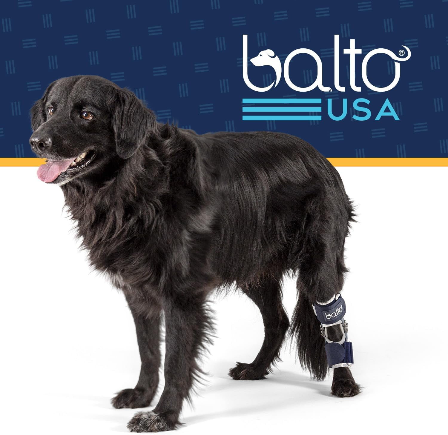 Balto Flexor Adjustable Hinged Dog Hock Brace – Ankle Brace –Variable ...