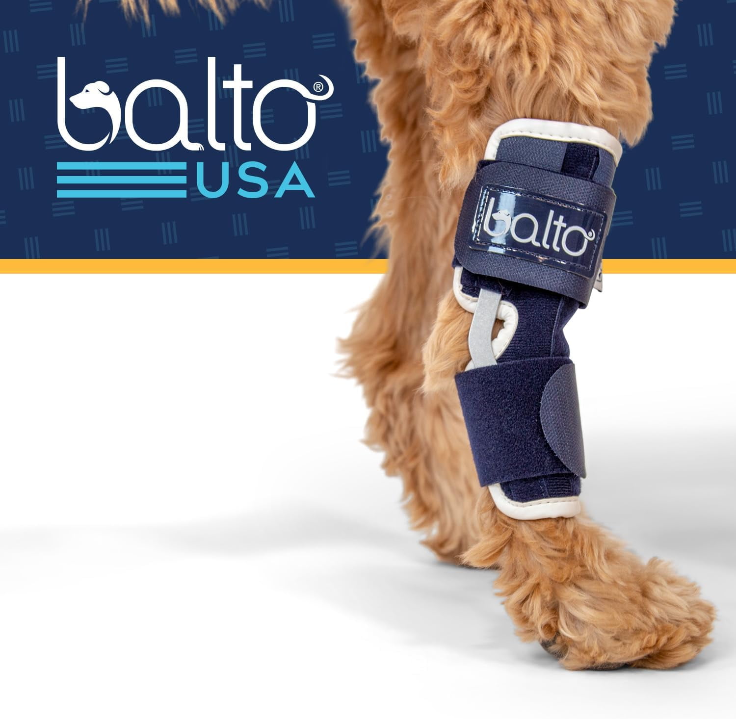 Balto Hock Brace – Dog Ankle Brace – Brace with Aluminum Splints – Pre ...
