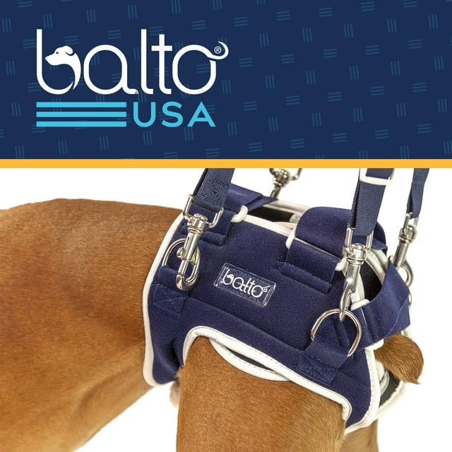 Balto Life Hip Dysplasia Brace – Dog Hip Support Harness – Hind End ...