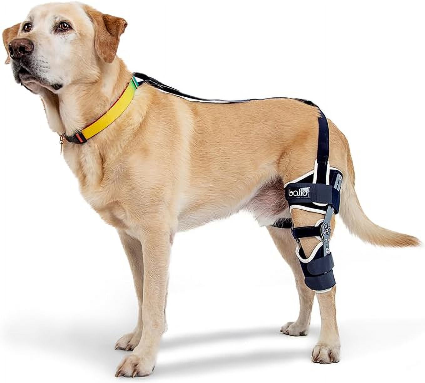 Balto Ligatek Adjustable Hinged Dog Knee Brace – CCL Brace for Dogs ...