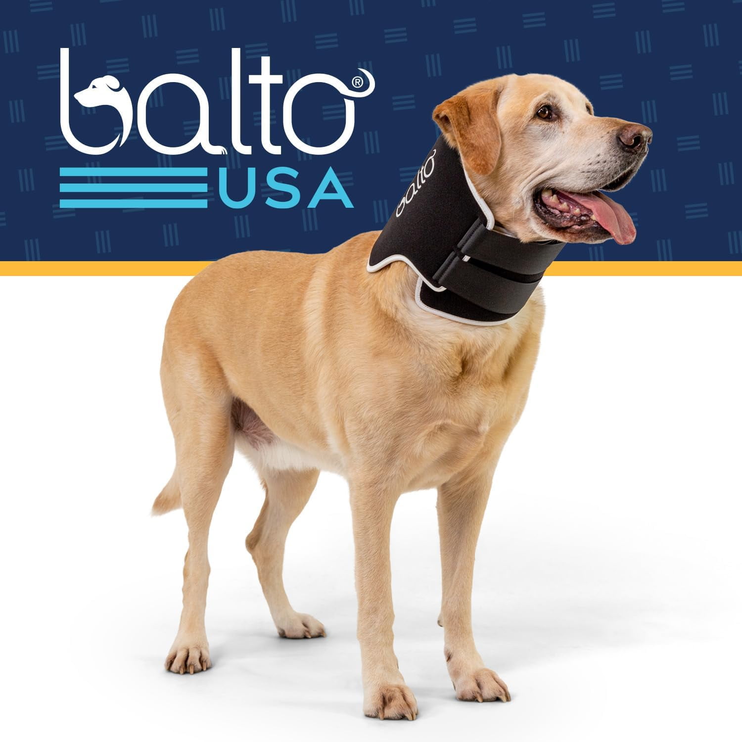 Balto Neck Eco E-Collar Alternative – Dog Recovery Collar – Padded Dog ...