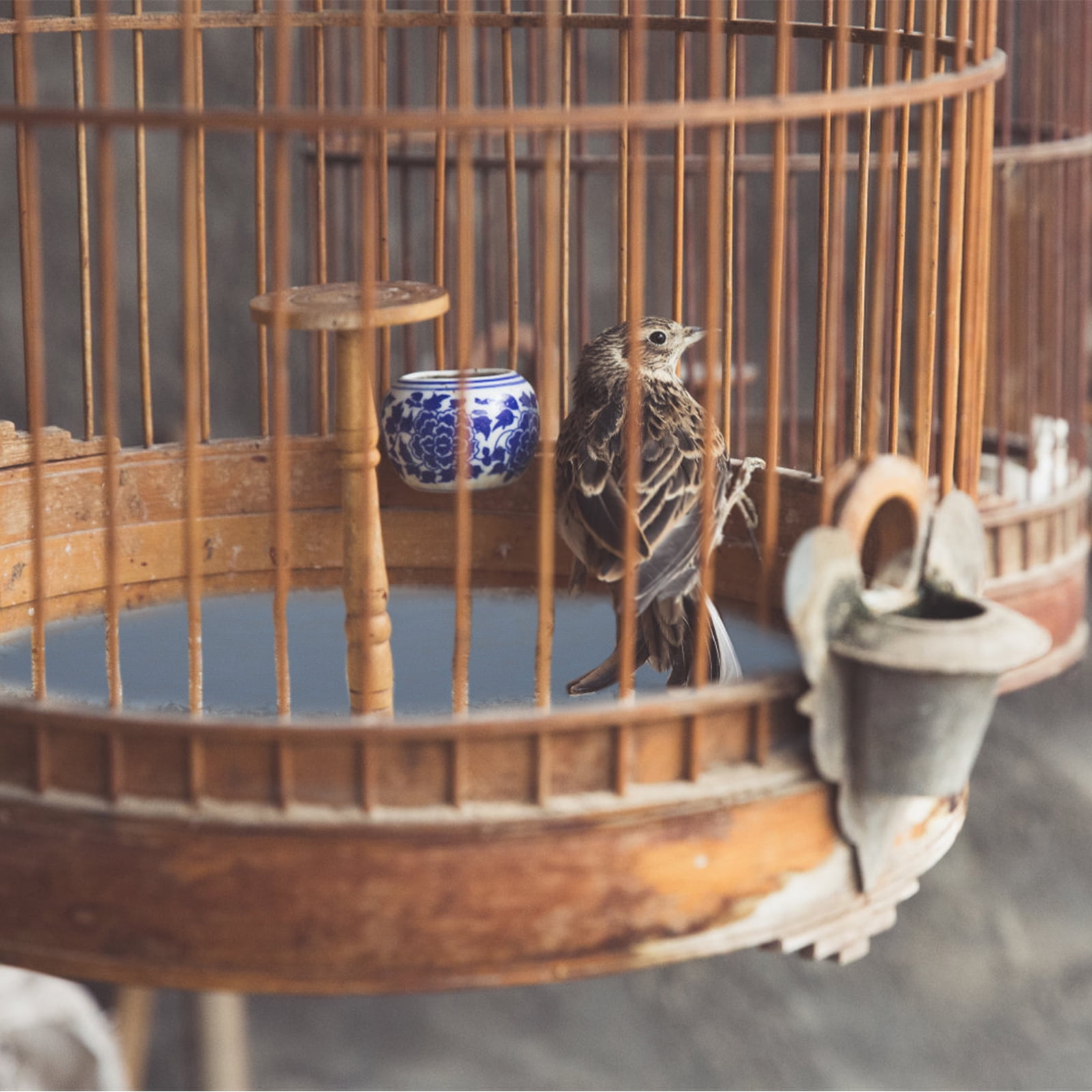 Baluue 10 Sheets Bird Cage Liner Bird Gravel Paper Parrot Cages Pads ...