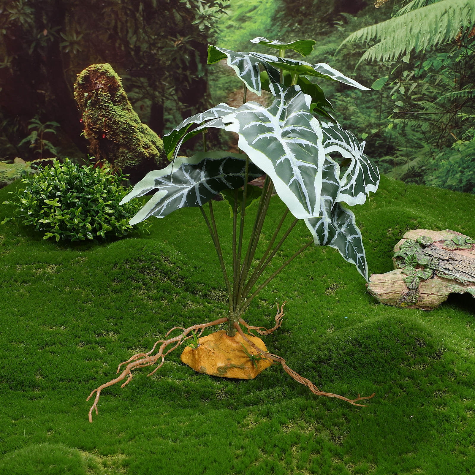 Baluue Lizard Tank Accessories Terrarium Decorations Plastic 2 Pcs ...