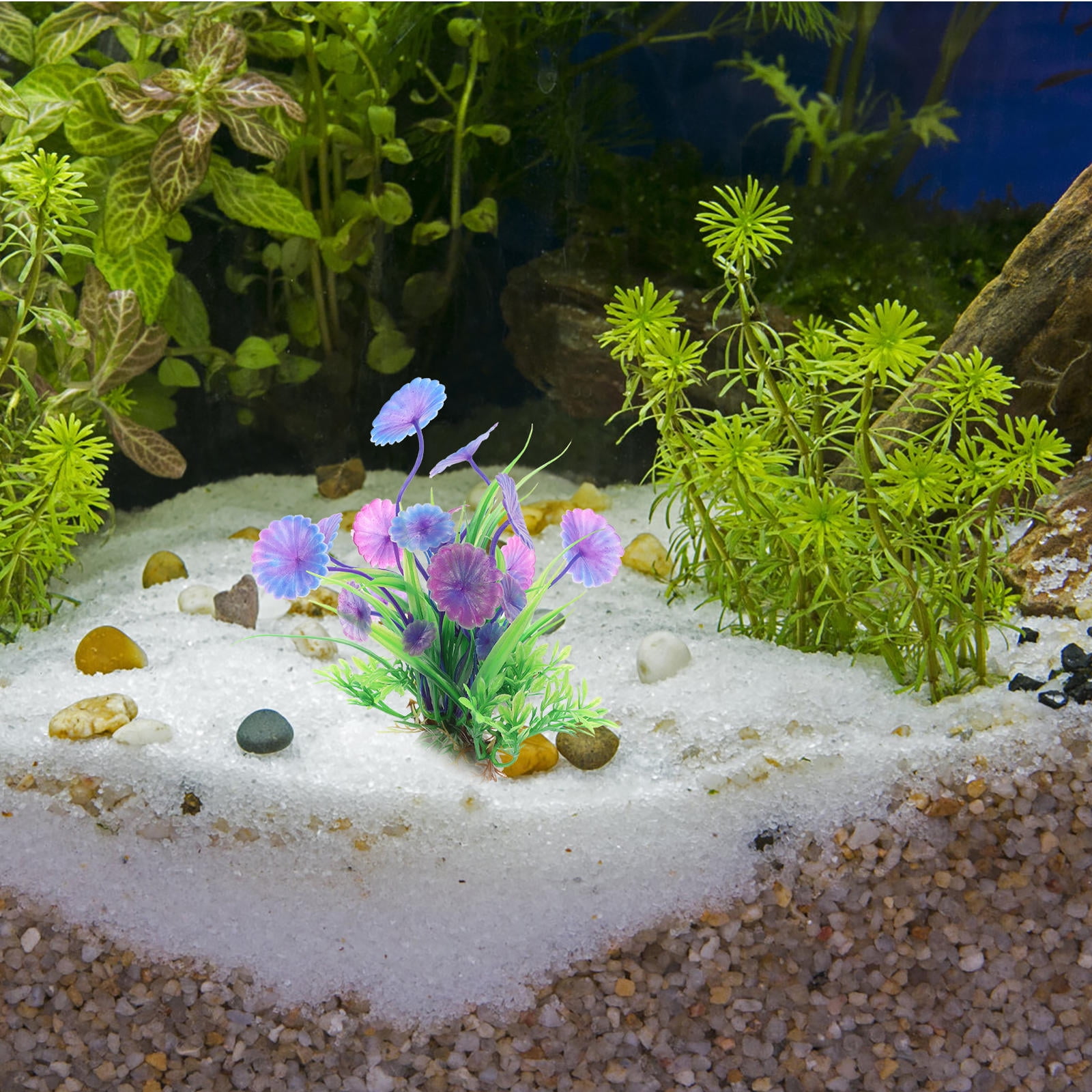 Baluue 3PCS Plants for Fish Tank Artificial Plants Plastic Versatile ...