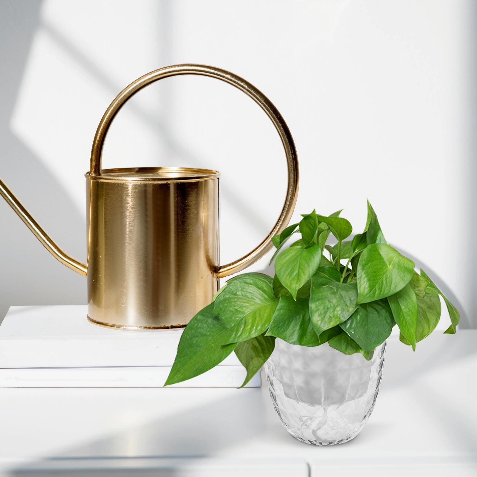 Baluue 3pcs Self Watering Planters for Indoor Plants Clear Hydroponic ...