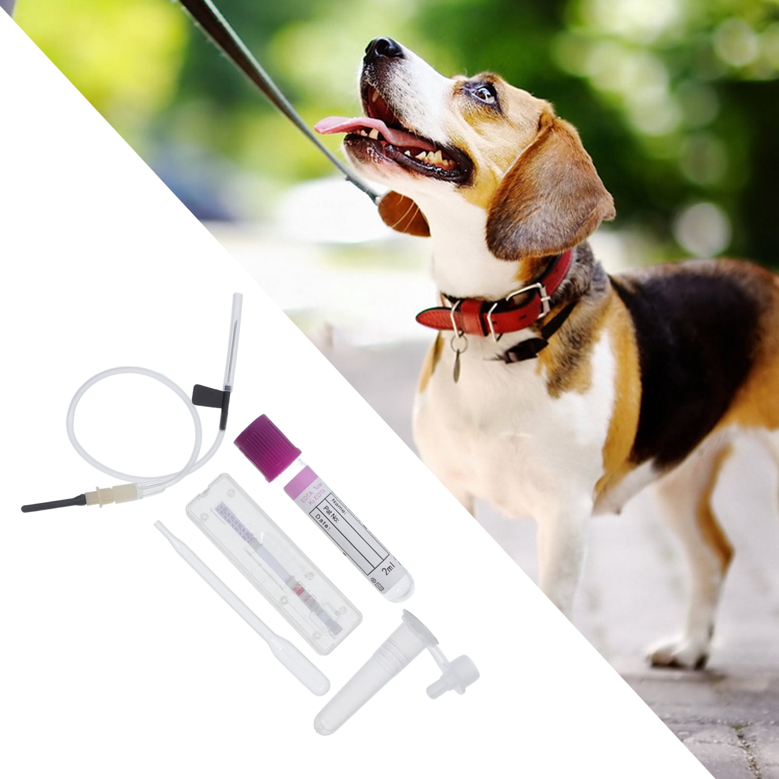 Baluue 4 Sets of Pet Dog Pregnancy Test Card Dog Pregnant Test Tubing ...