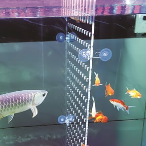 Shop Fish Tank Dividers for Aquarium Separation and Organization