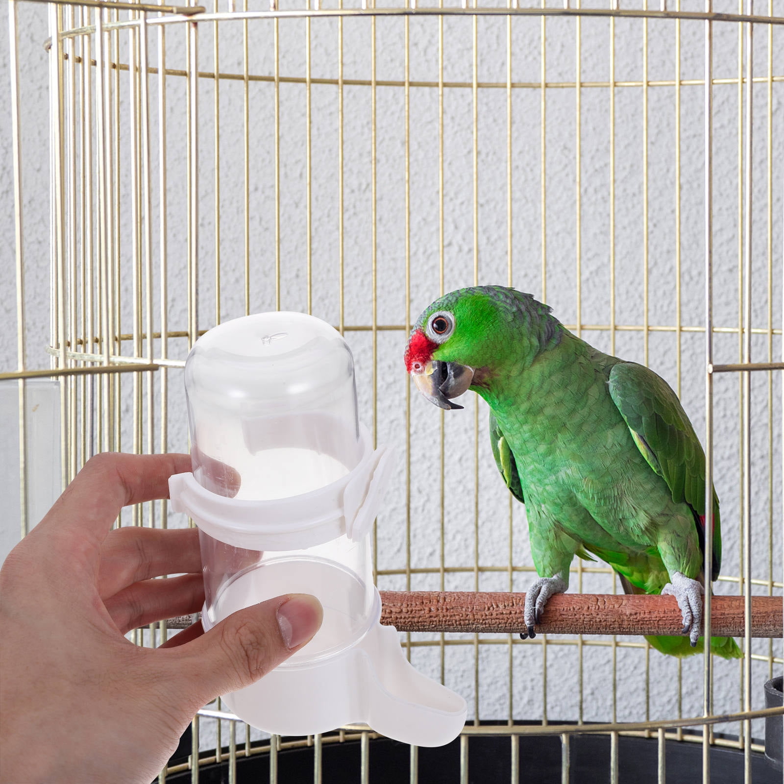 Baluue Automatic Water Drinking for Bird PP Bird Cage Accessory 1 Set ...